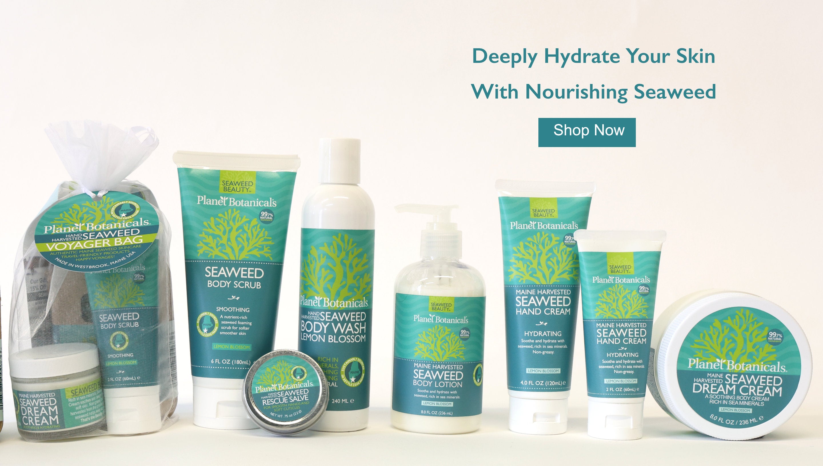 Seaweed Skincare | Planet Botanicals