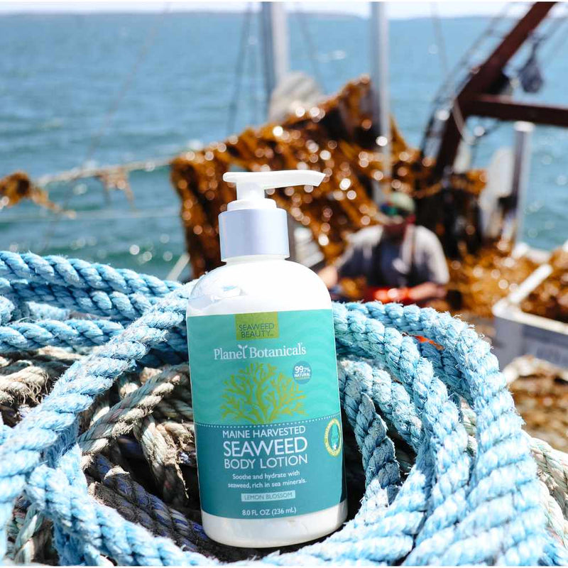 SEAWEED BEAUTY - Planet Botanicals