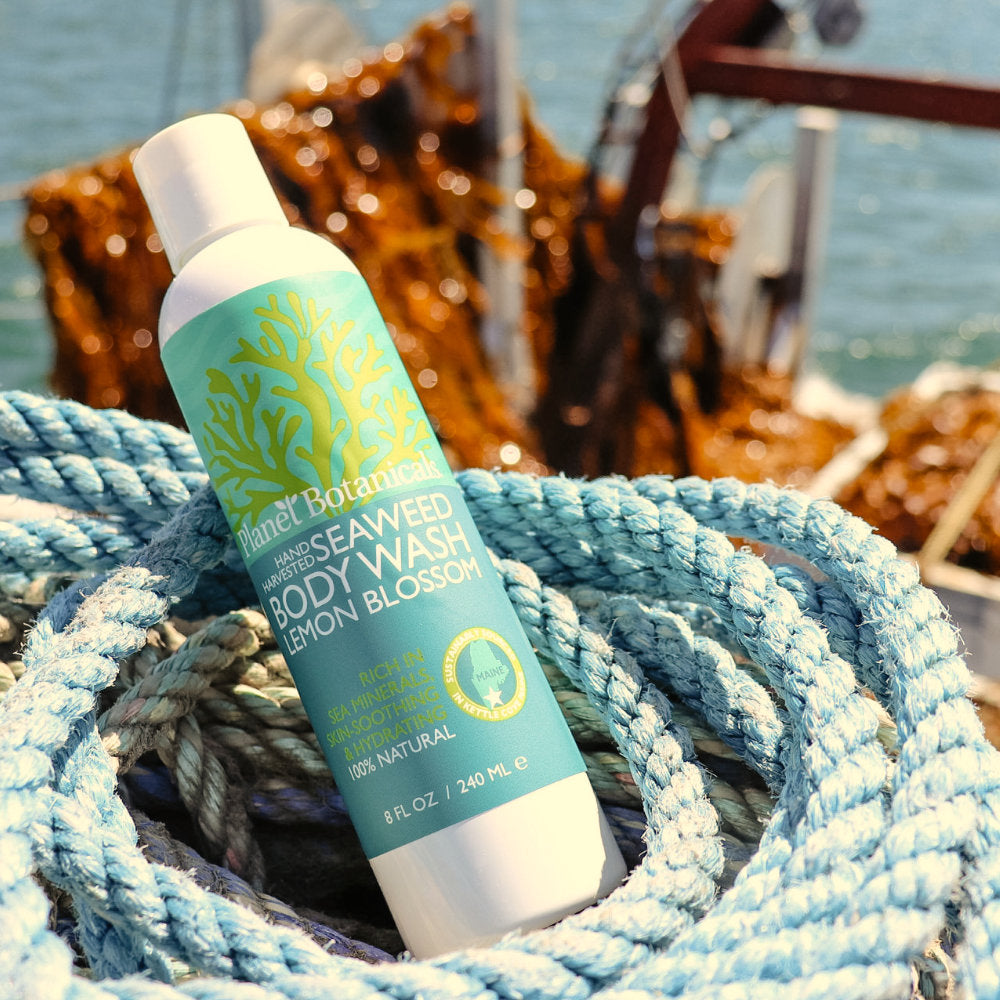 Seaweed Body Wash - Planet Botanicals